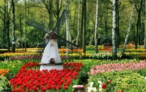 Belgium's Top Ten Spring Sights for Garden and Nature Lovers | CheeseWeb