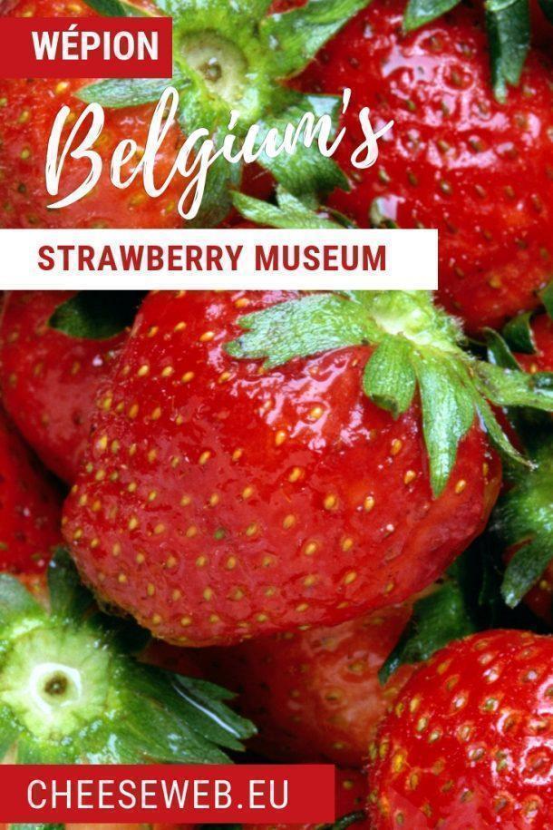 Belgium's Best Berry - Wépion Strawberries, Namur, Wallonia | CheeseWeb