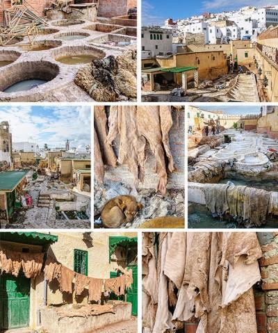 Photographing the Medina of Tétouan, Morocco | CheeseWeb