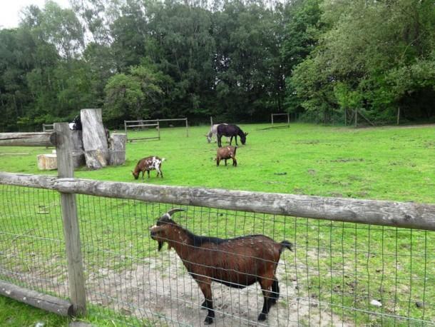 Provincial Domain Kessel Lo, near Leuven, Belgium – a Family Paradise ...