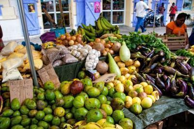 5 Surprises in French Guiana | CheeseWeb