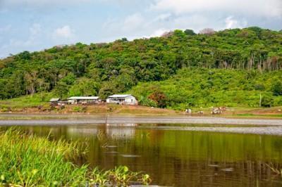 Reserve Naturelle des Marais de Kaw-Roura, French Guiana | CheeseWeb