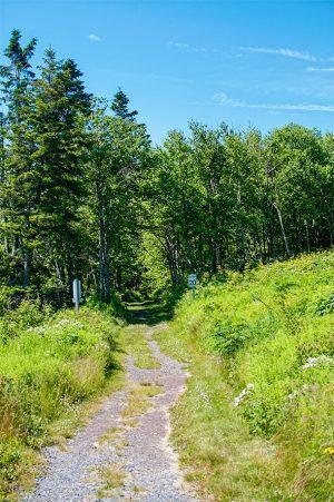 The Fundy Trail Parkway - Discovering New Brunswick, Canada's Epic ...