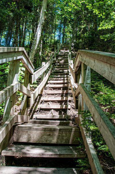 The Fundy Trail Parkway - Discovering New Brunswick, Canada's Epic ...