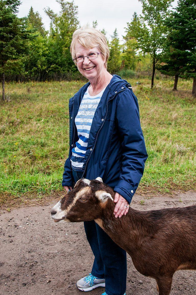 Goat Cheese Farm Fromagerie Au Fond du Bois, Rexton, New Brunswick ...