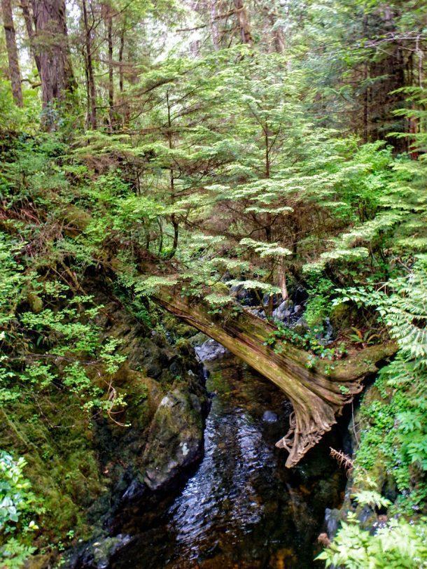 Top 10 Places to Visit on the West Coast of British Columbia, Canada ...