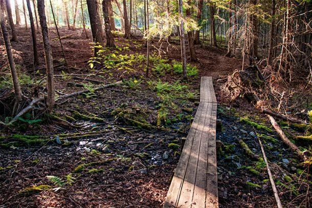 Mactaquac Provincial Park Camping, Hiking & TreeGo in NB, Canada ...