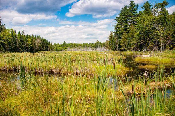 Mactaquac Provincial Park Camping, Hiking & TreeGo in NB, Canada ...