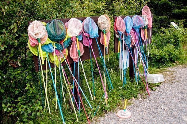 Mactaquac Provincial Park Camping, Hiking & TreeGo in NB, Canada ...