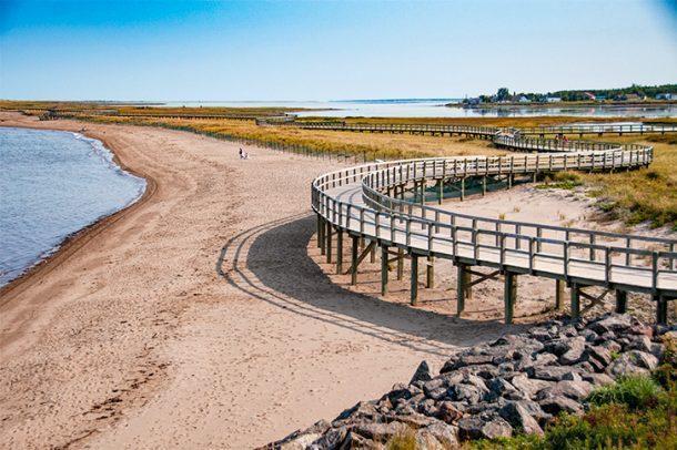 The Ultimate Acadian Coast Road Trip in New Brunswick Canada | CheeseWeb