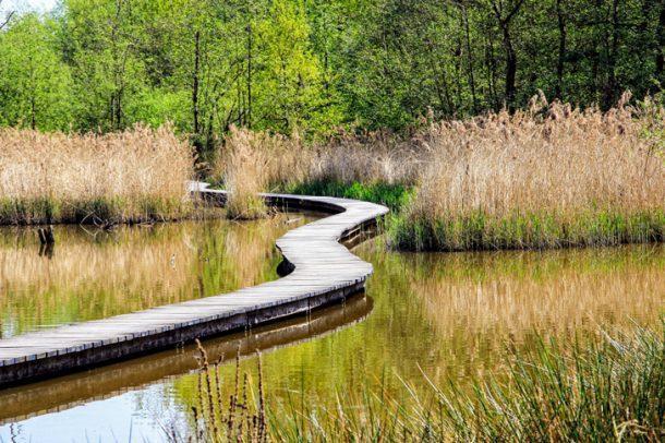A Spring Blossom Cycle Tour of Hageland, Belgium | CheeseWeb