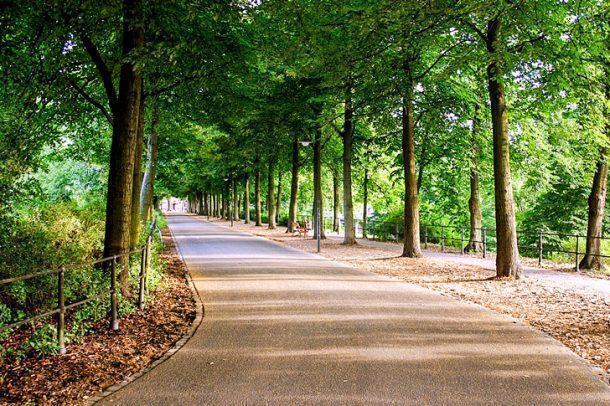 Best Things to Do in Munster Germany | CheeseWeb