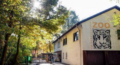 The Ultimate Guide to Ramstein Germany | CheeseWeb